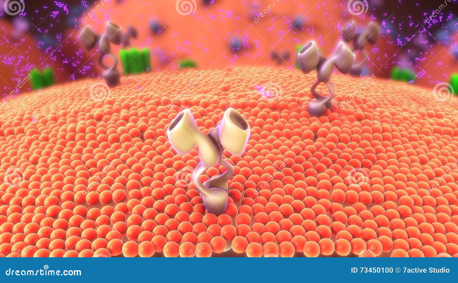 Cellmembran stock illustrationer. Illustration av vätskor - 73450100