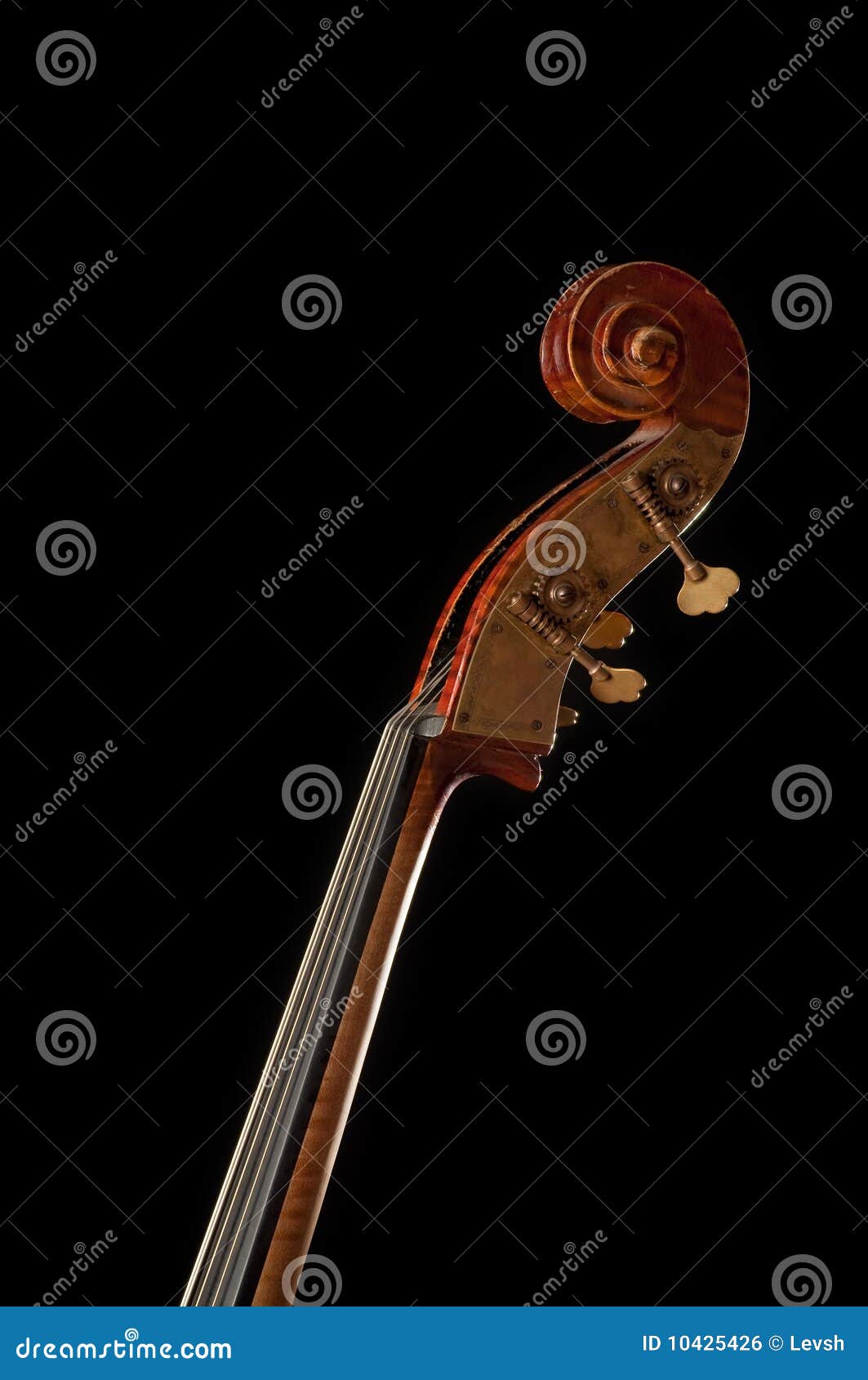 Cello stock photo. Image of instrument, cello, music - 10425426