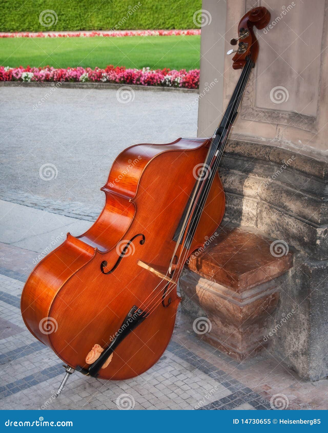 Cello stock image. Image of composer, music, entertainment - 14730655