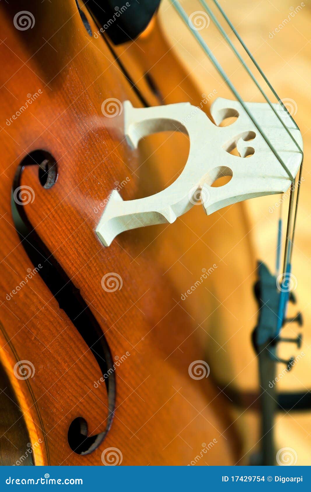 Cello stock photo. Image of sound, bright, note, musician - 17429754