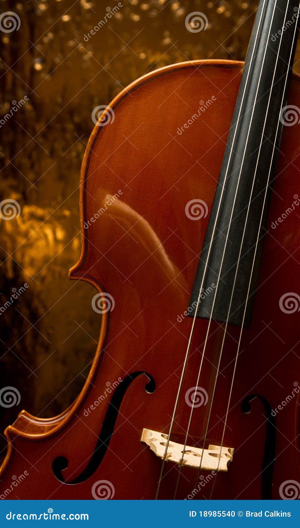 Cello stock photo. Image of string, music, strings, instrument - 18985540