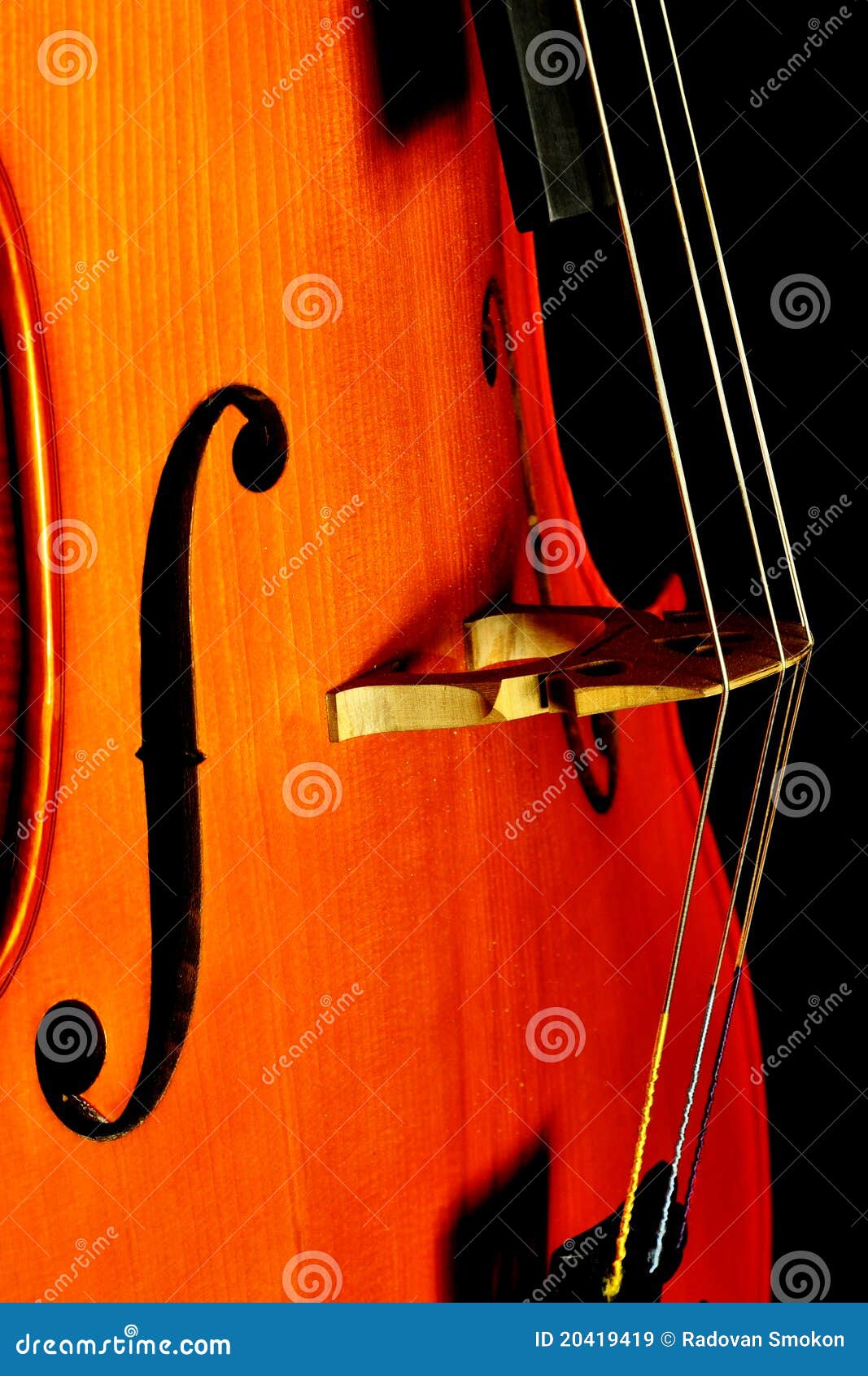 Cello stock image. Image of fiddle, harmony, musician - 20419419