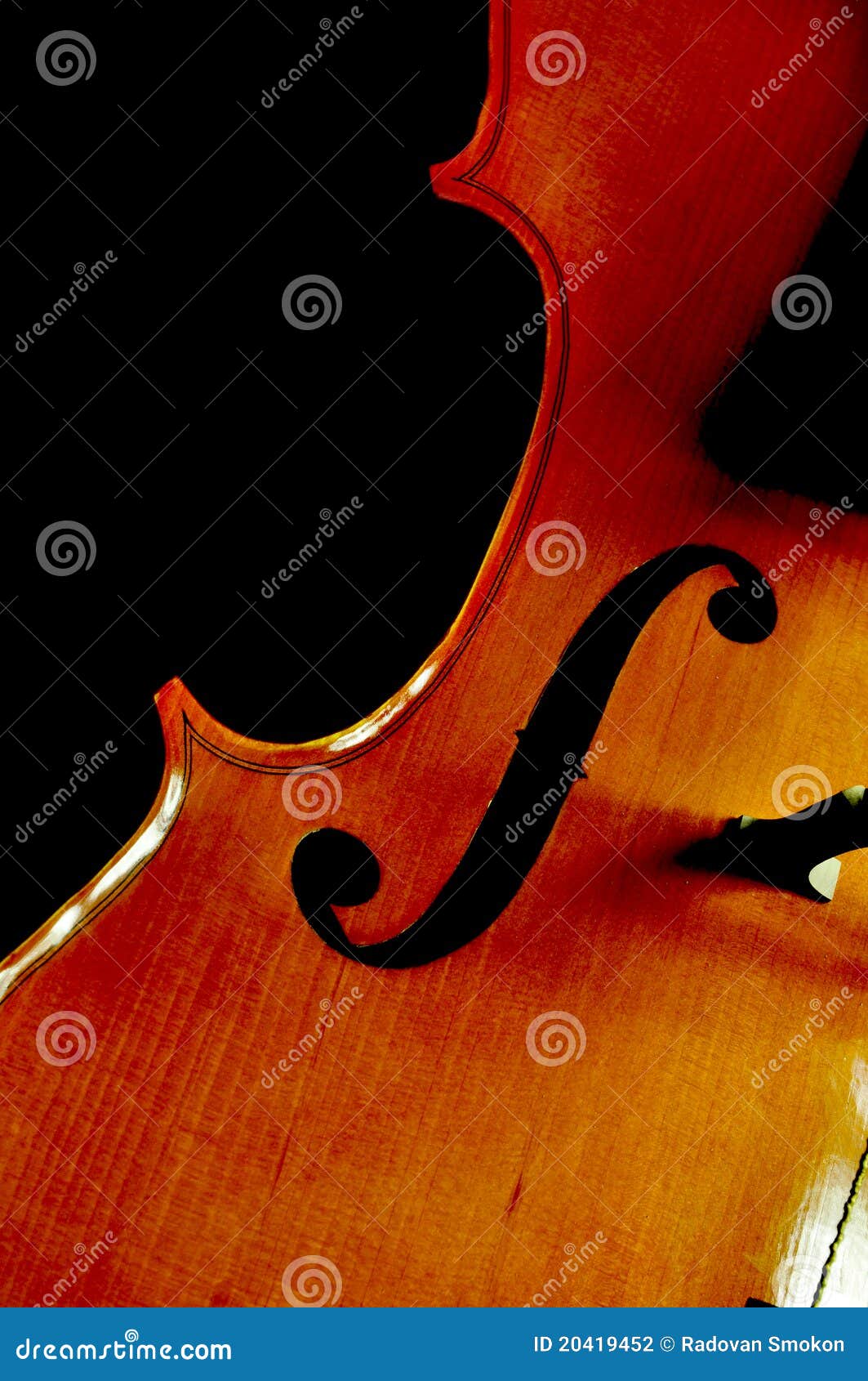 Cello stock photo. Image of performing, isolated, choir - 20419452