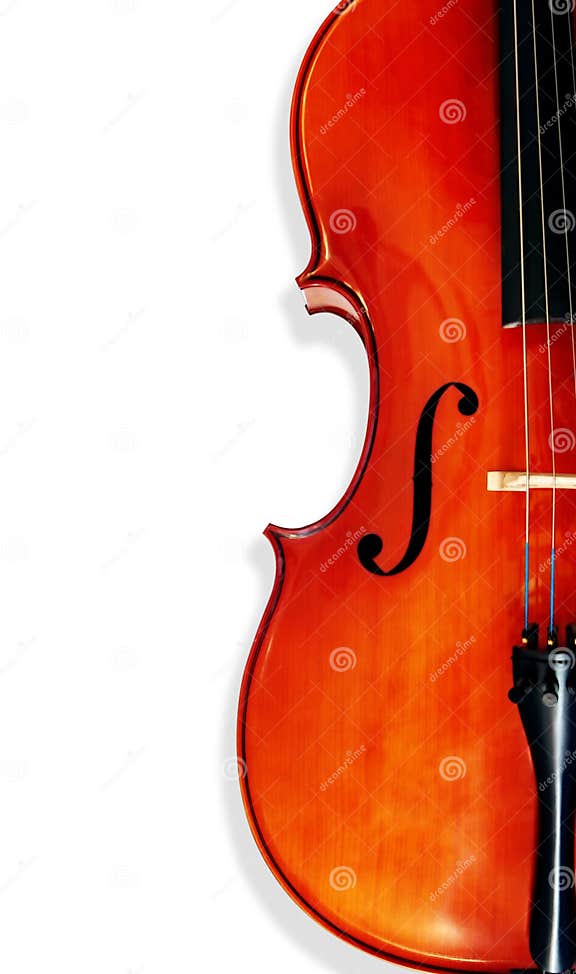Cello stock photo. Image of white, instrument, warm, isolated - 4117924