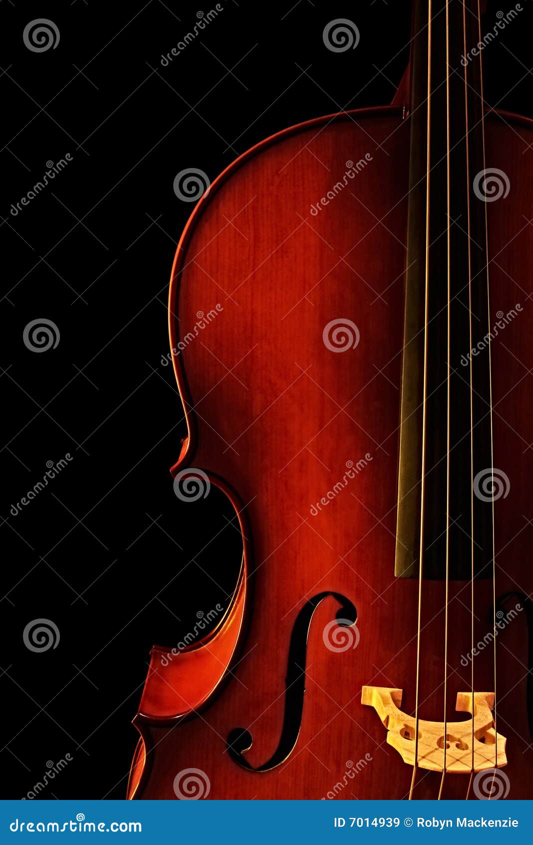 Cello stock image. Image of instrument, close, background - 7014939