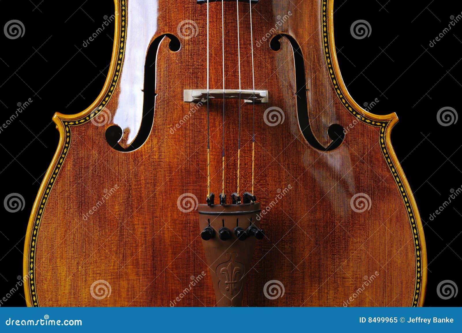 Cello On A Black Background Picture. Image: 8499965