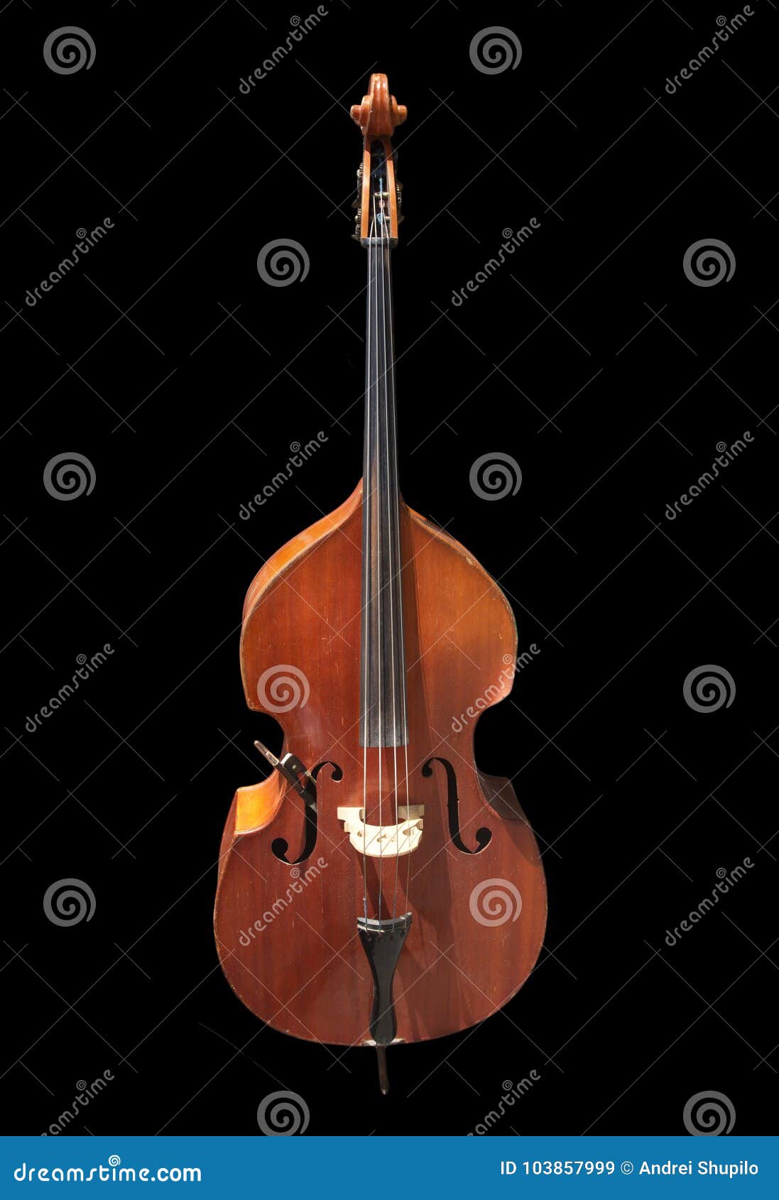 Cello on a Black Background Stock Image - Image of horizontal ...