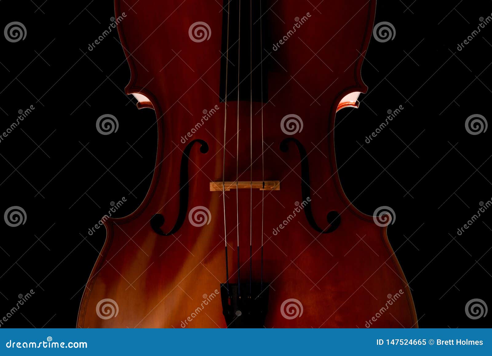 Cello on black background stock image. Image of plastic - 147524665