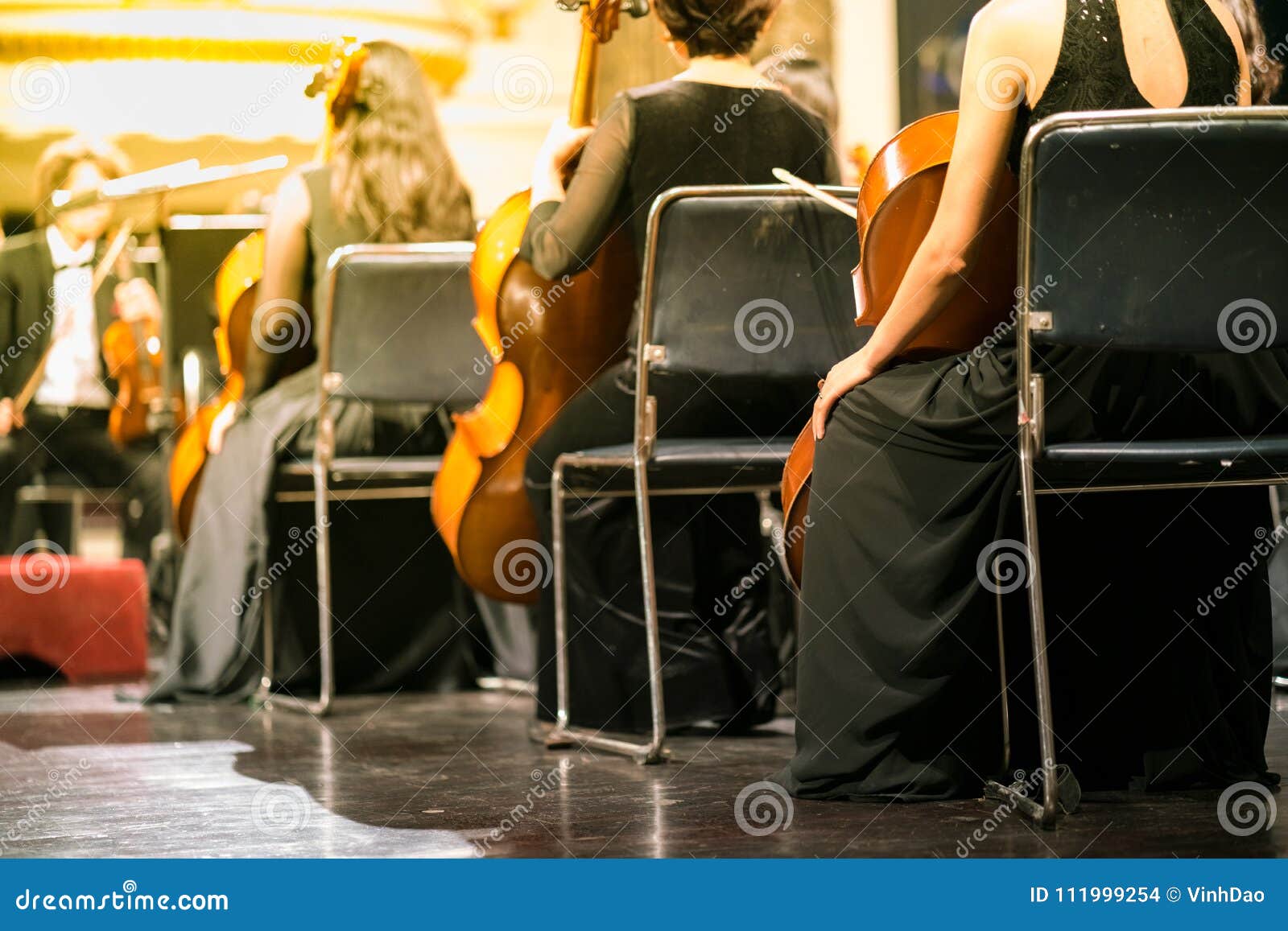 Cello in Cellist Hands at Classical Music Symphony Concert Closeup ...