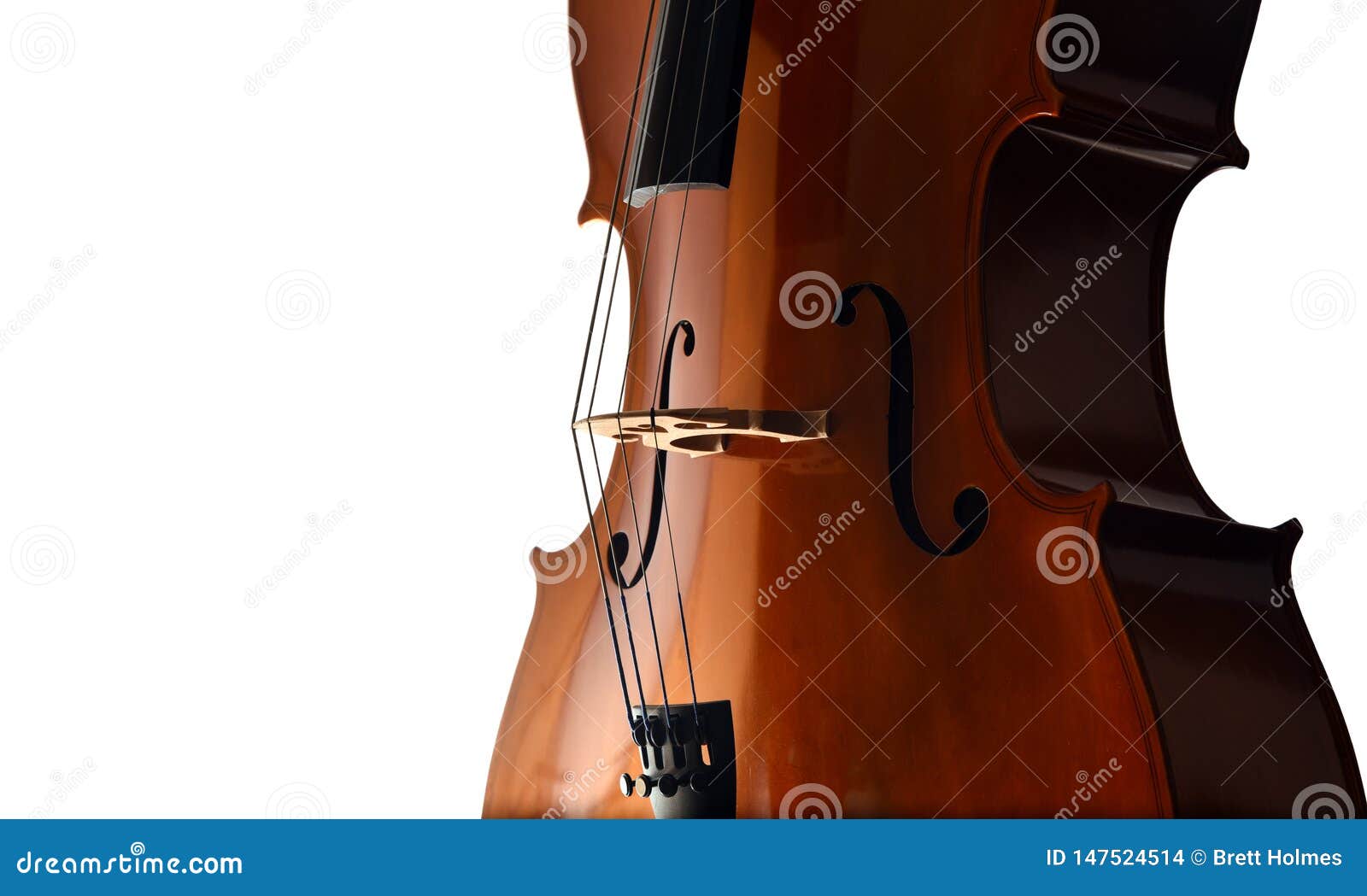 Cello Closeup on White Background Stock Photo - Image of baroque, close ...