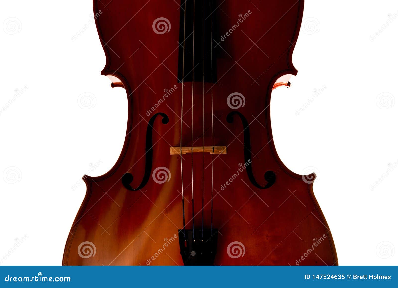 Cello Closeup on White Background Stock Image - Image of antique ...