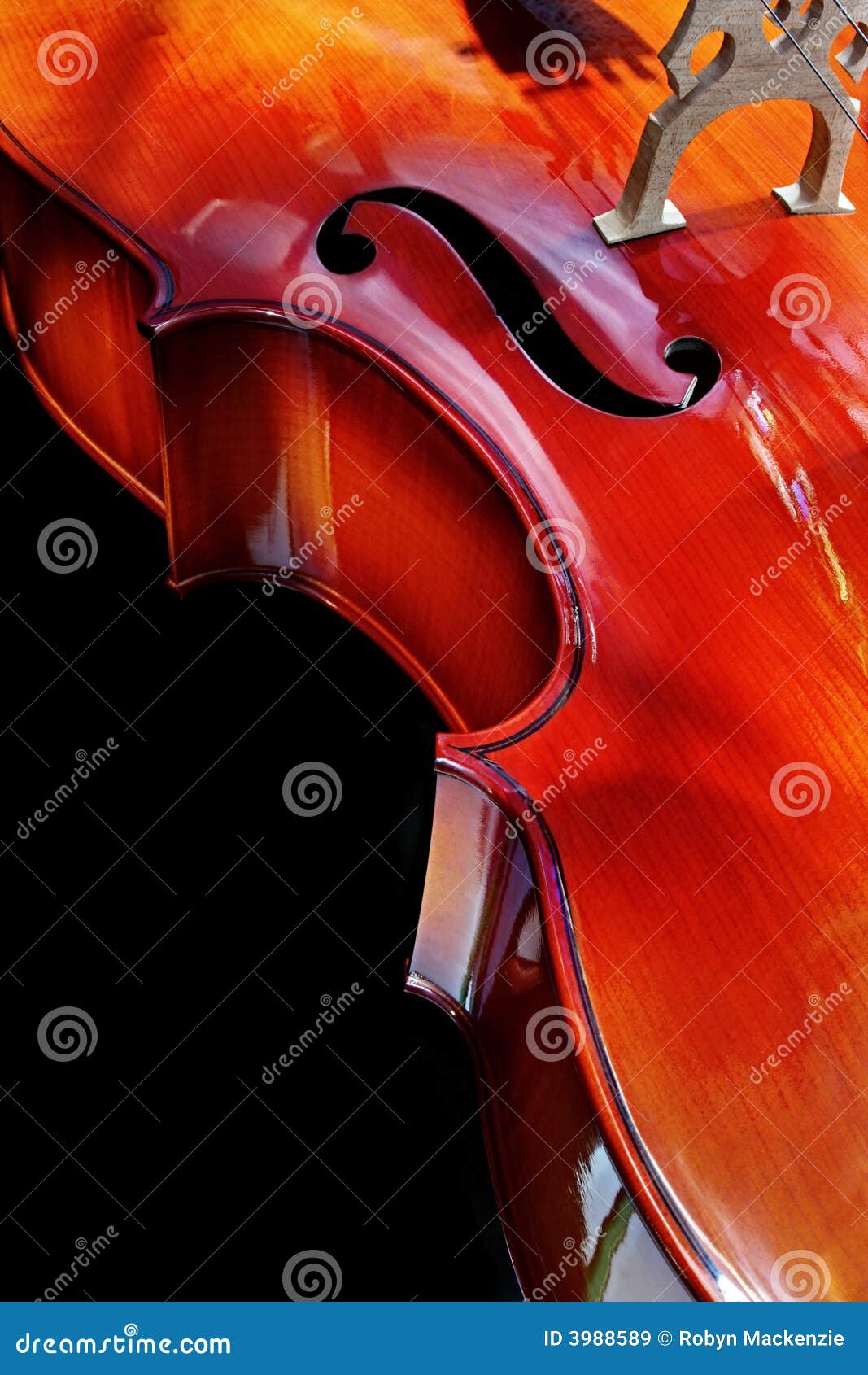 Cello Detail stock image. Image of stringed, classic, polished - 3988589