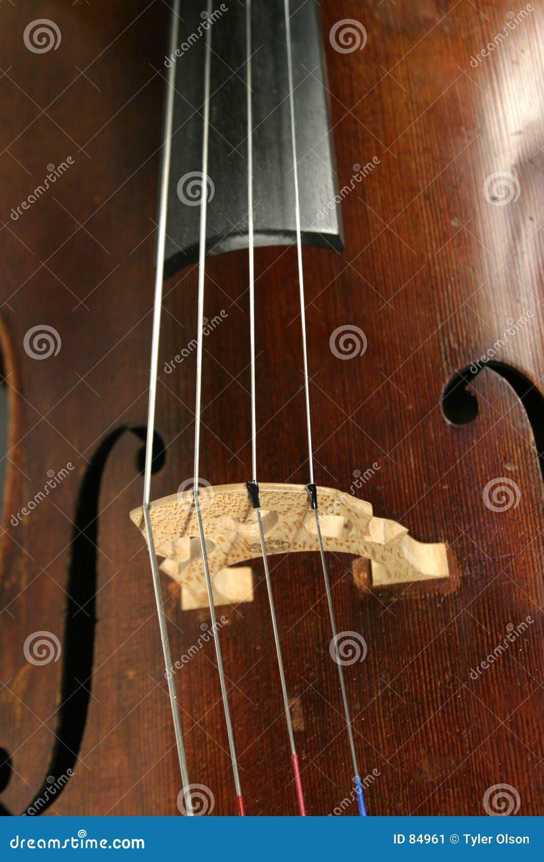 Cello Detail stock image. Image of melody, violin, working - 84961