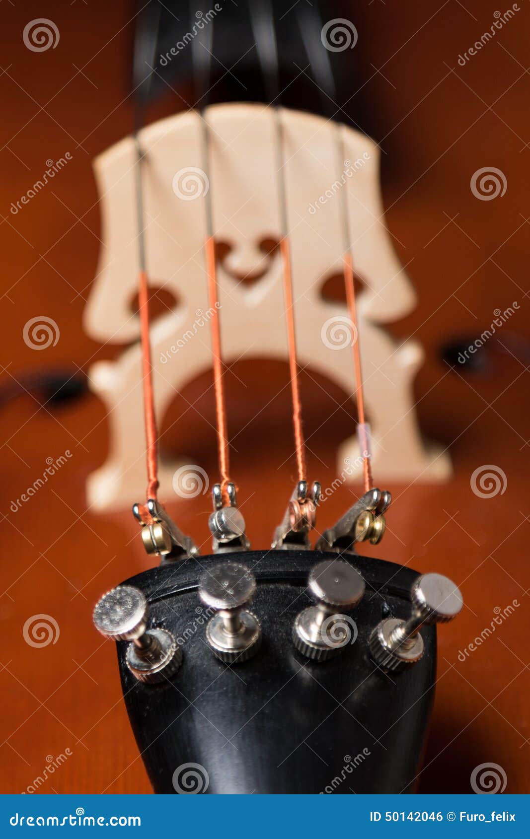 Cello detail stock photo. Image of bass, sound, equipment - 50142046