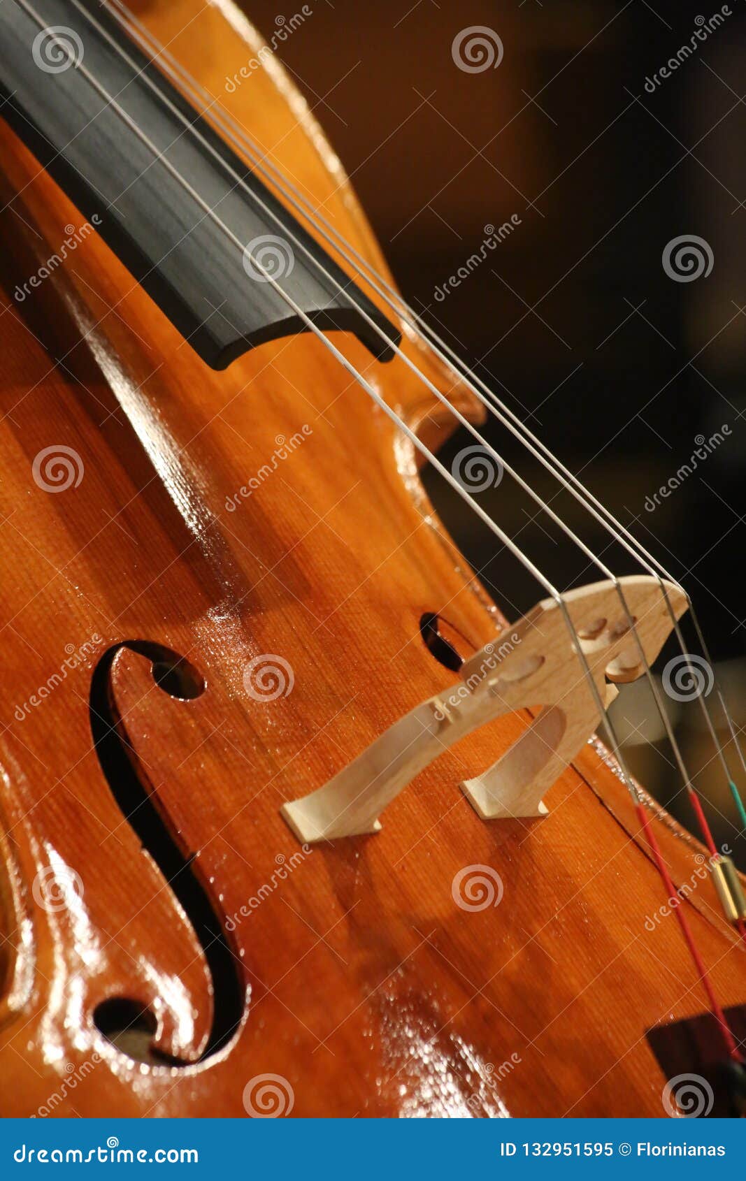 Cello detail with strings. stock image. Image of harmony - 132951595