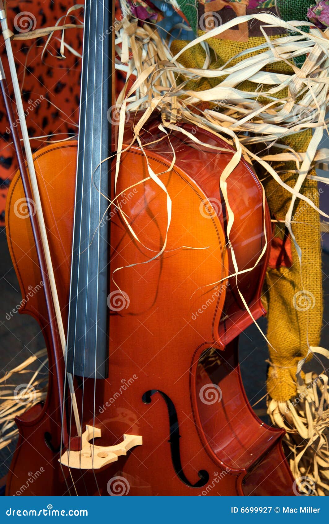 Cello with a Fall Thanksgiving Look Stock Image - Image of music, straw ...
