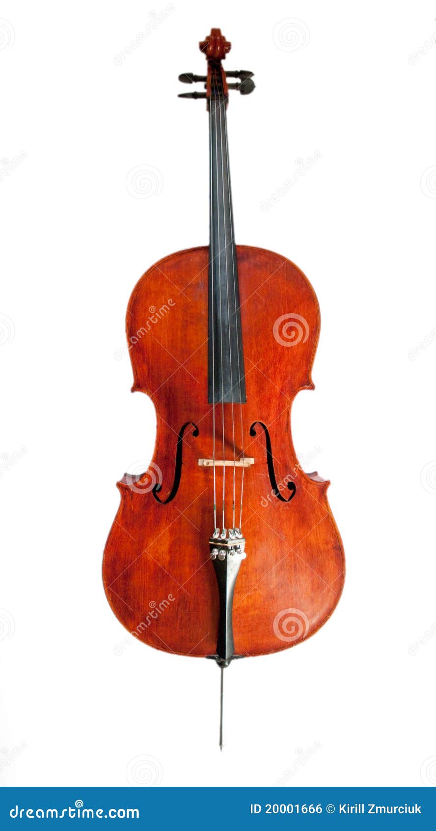 Cello Front Royalty Free Stock Image - Image: 20001666
