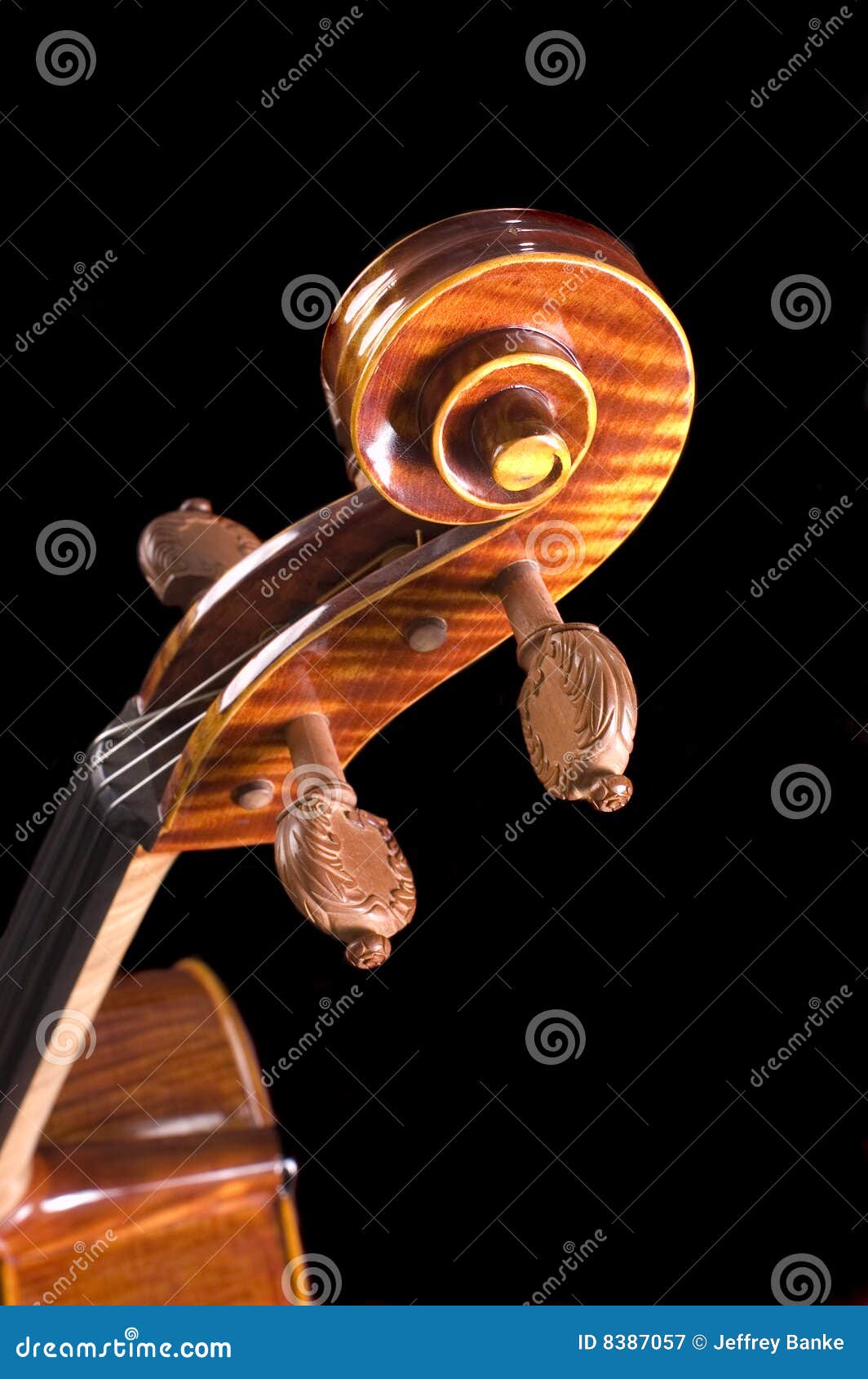 Cello head stock image. Image of classical, cello, accompaniment - 8387057