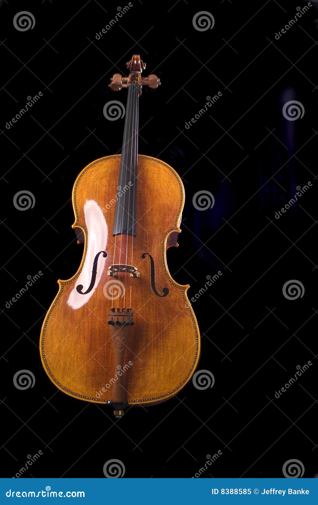 362 Cello Head Stock Photos - Free & Royalty-Free Stock Photos from ...