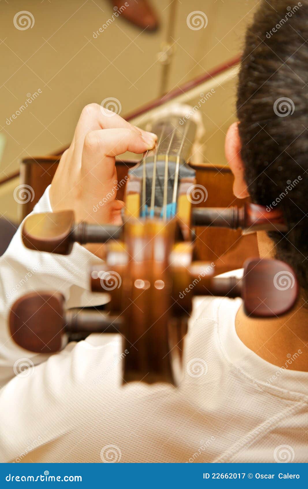 Cello Head Royalty-Free Stock Photo | CartoonDealer.com #33031815