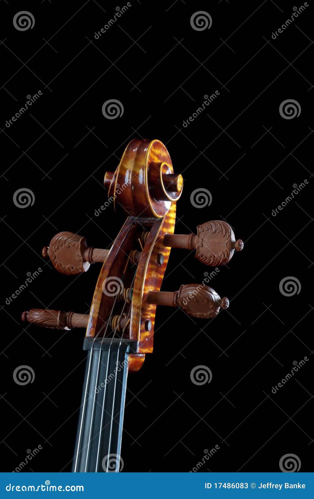 Cello neck on black stock image. Image of ensemble, melody - 17486083