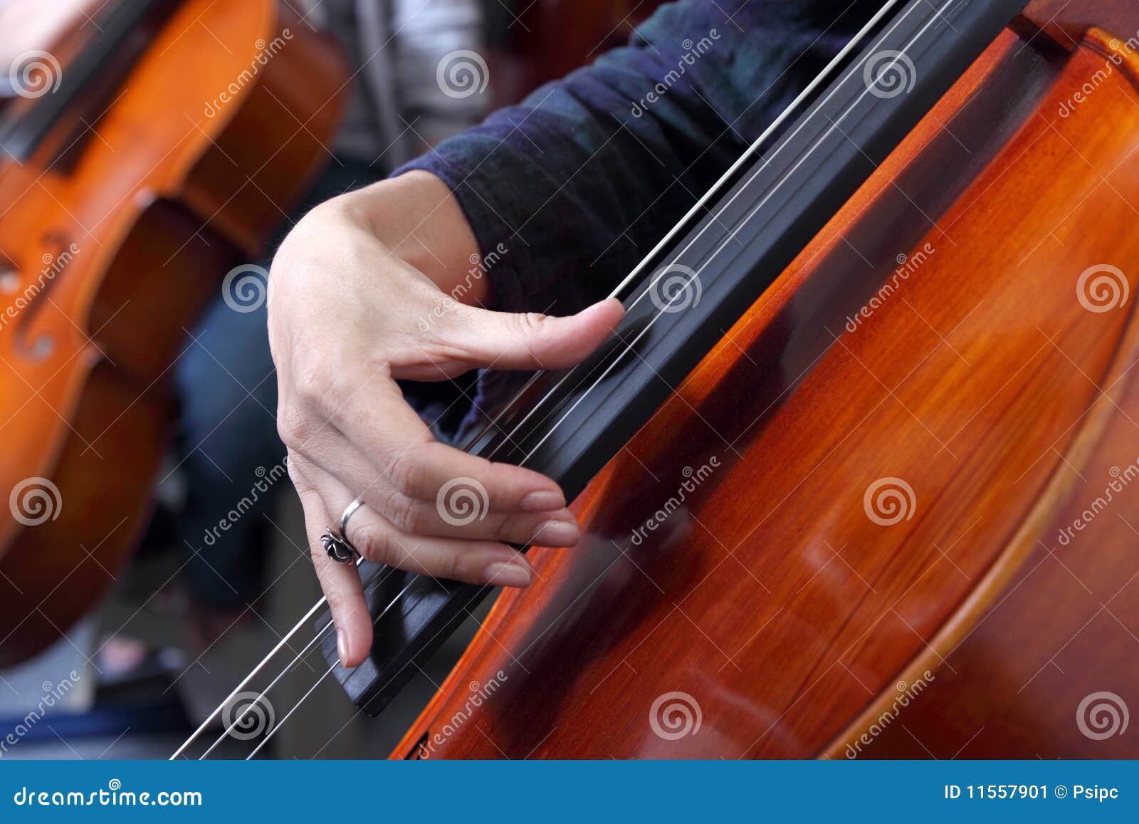Cello Pizzicato stock image. Image of violin, music, finger - 11557901