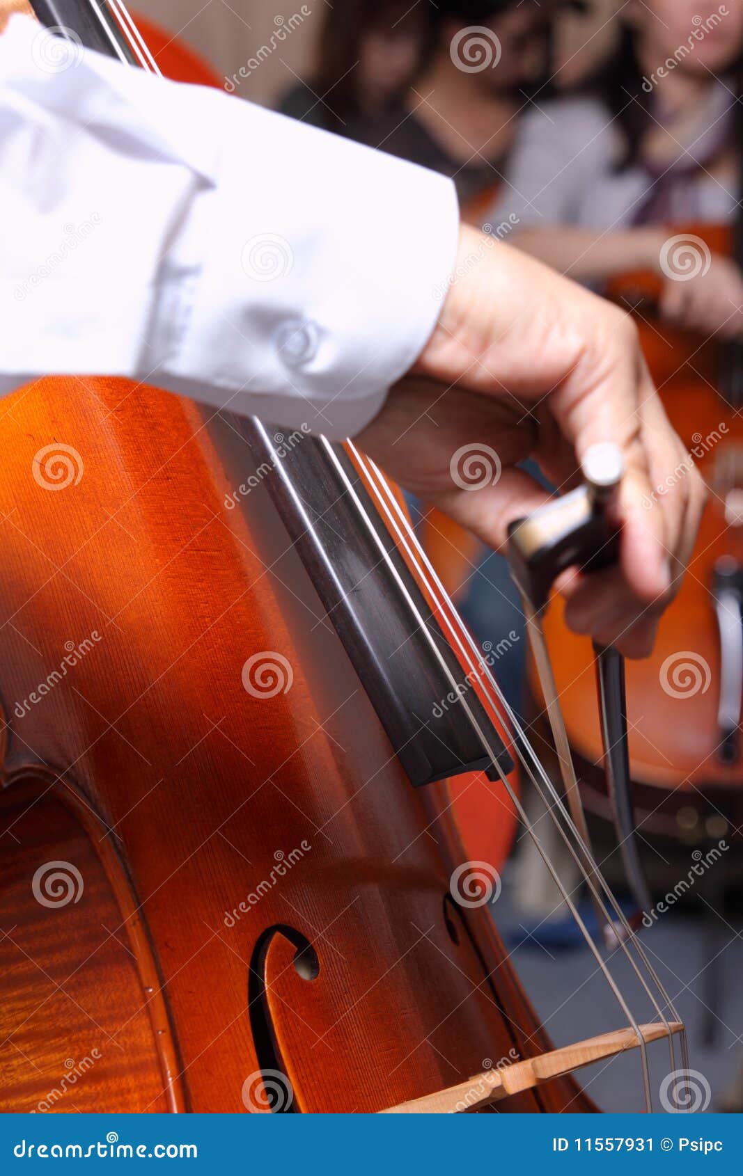 Cello Pizzicato stock image. Image of professor, viol - 11557931