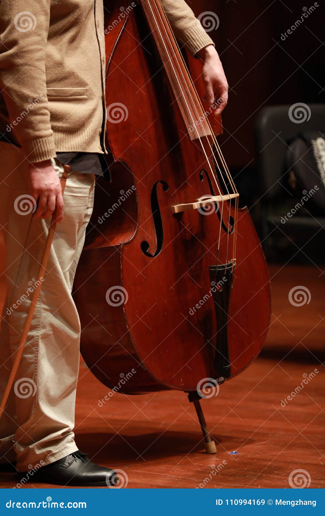 Cello Player. Composer, Music. Stock Image - Image of dark, performance ...