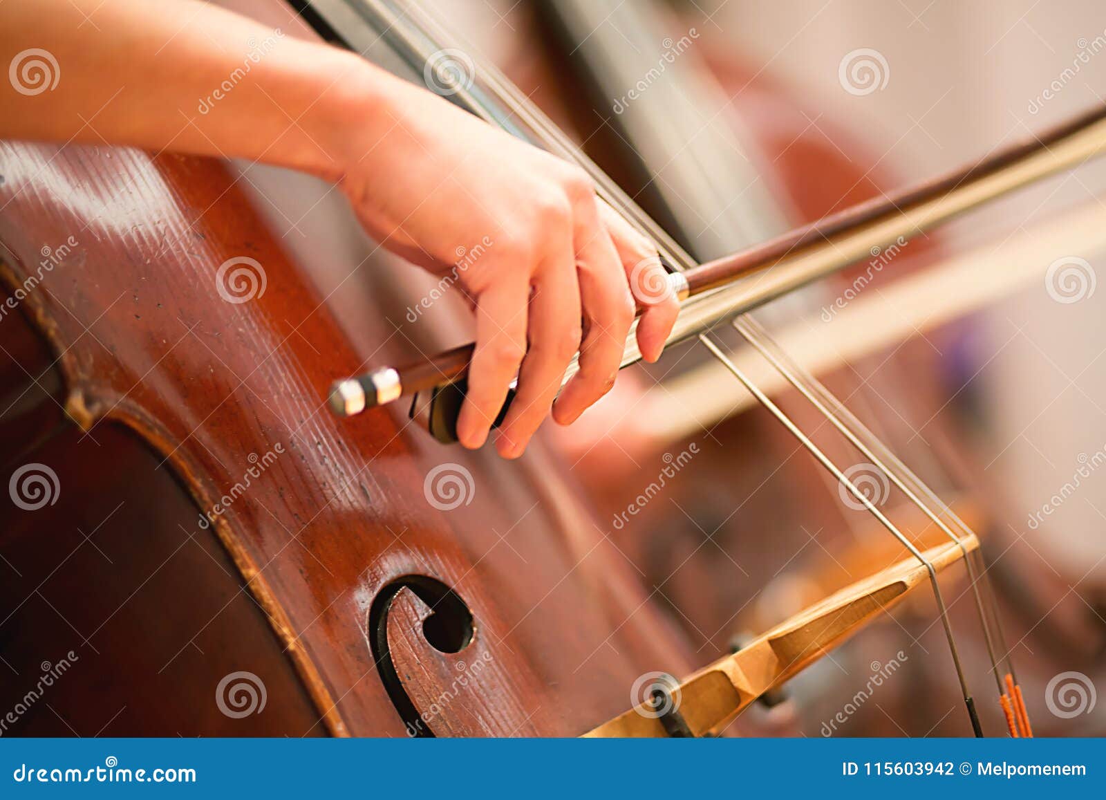 Cello Player Performing in an Orchestra Stock Photo - Image of people ...