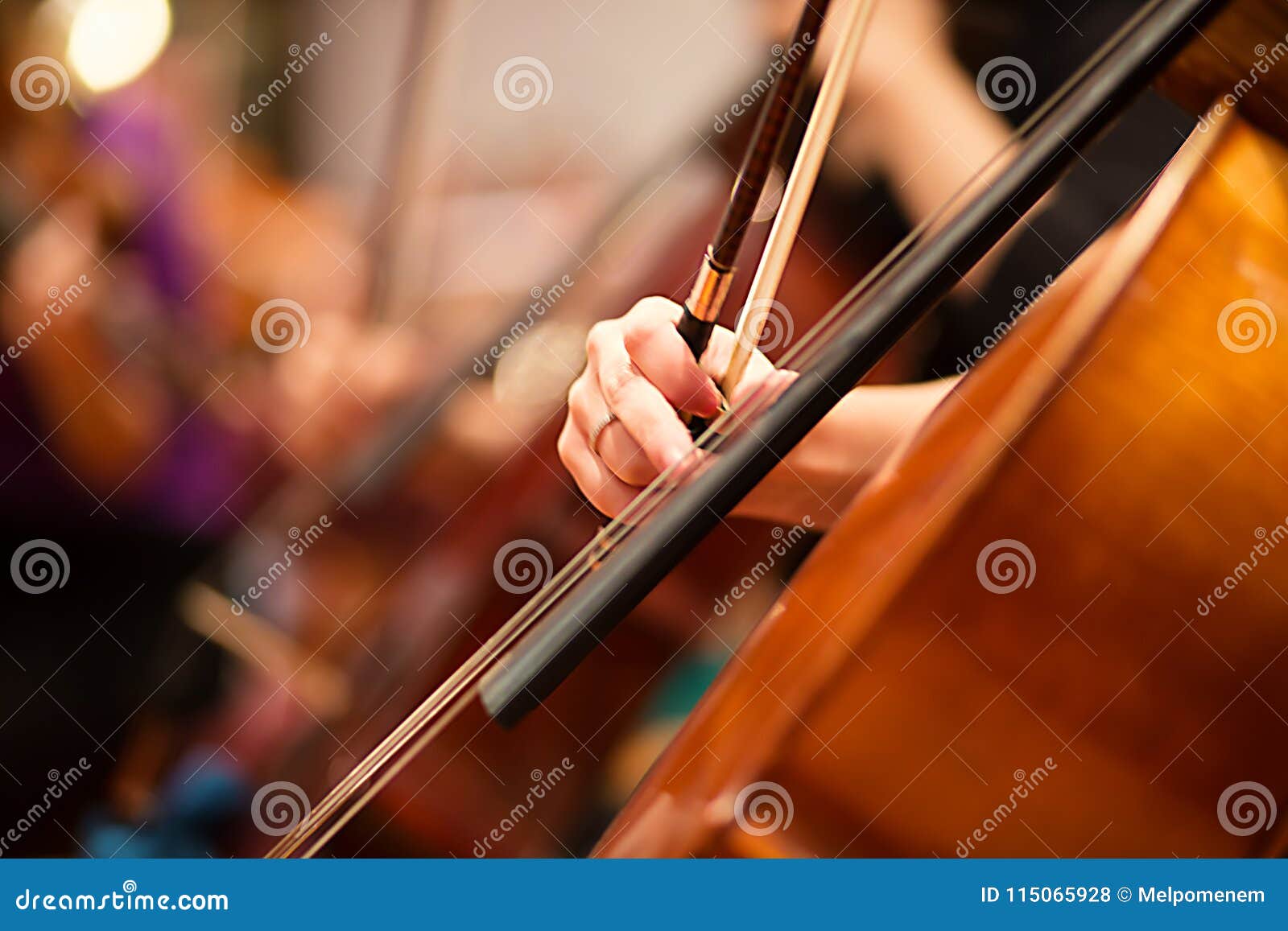 Cello Player Performing in an Orchestra Stock Photo - Image of string ...