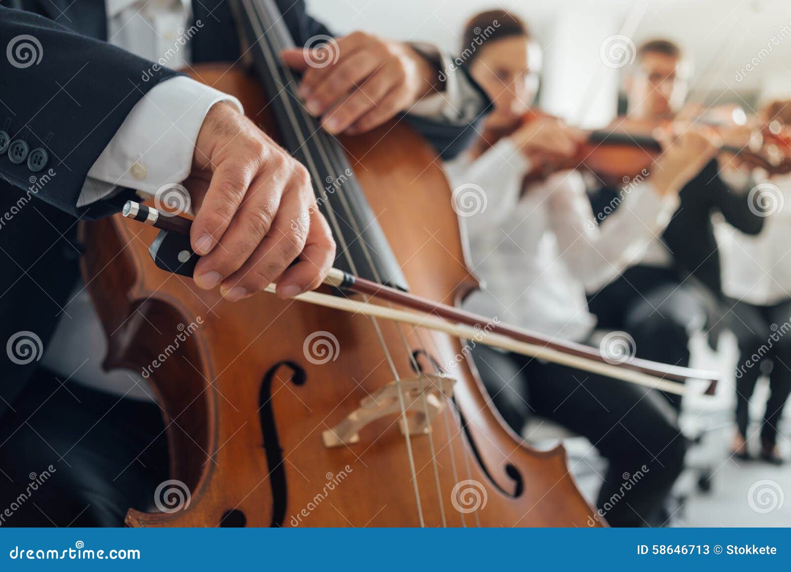 Cello Player S Hands Close Up Stock Image - Image of hands, dressed ...