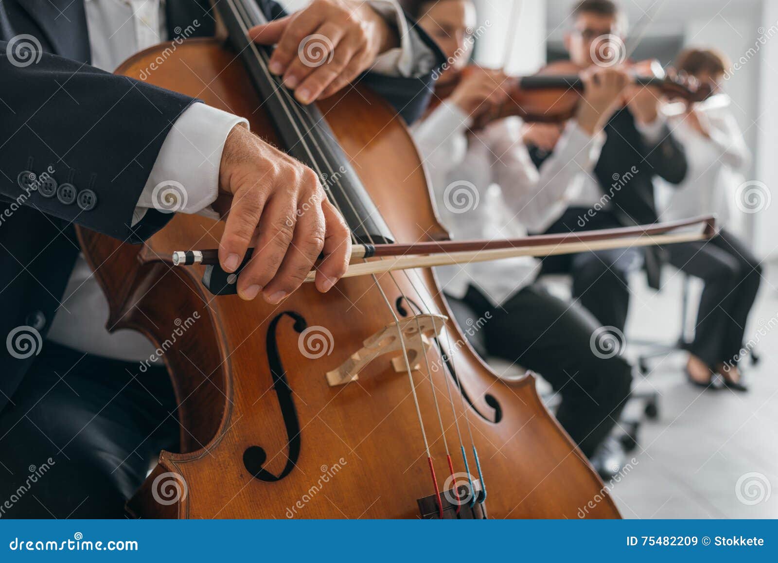Cello Player S Hands Close Up Stock Image - Image of stage, musician ...