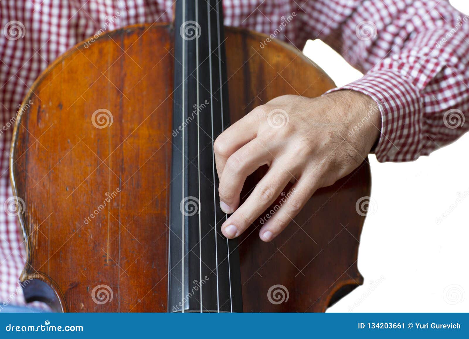 Cello Playing Cellist Hands Close Up Orchestra Instruments Isolated ...