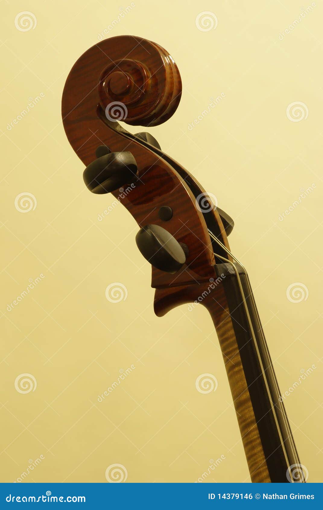 Cello Scroll stock photo. Image of quartet, string, scroll - 14379146