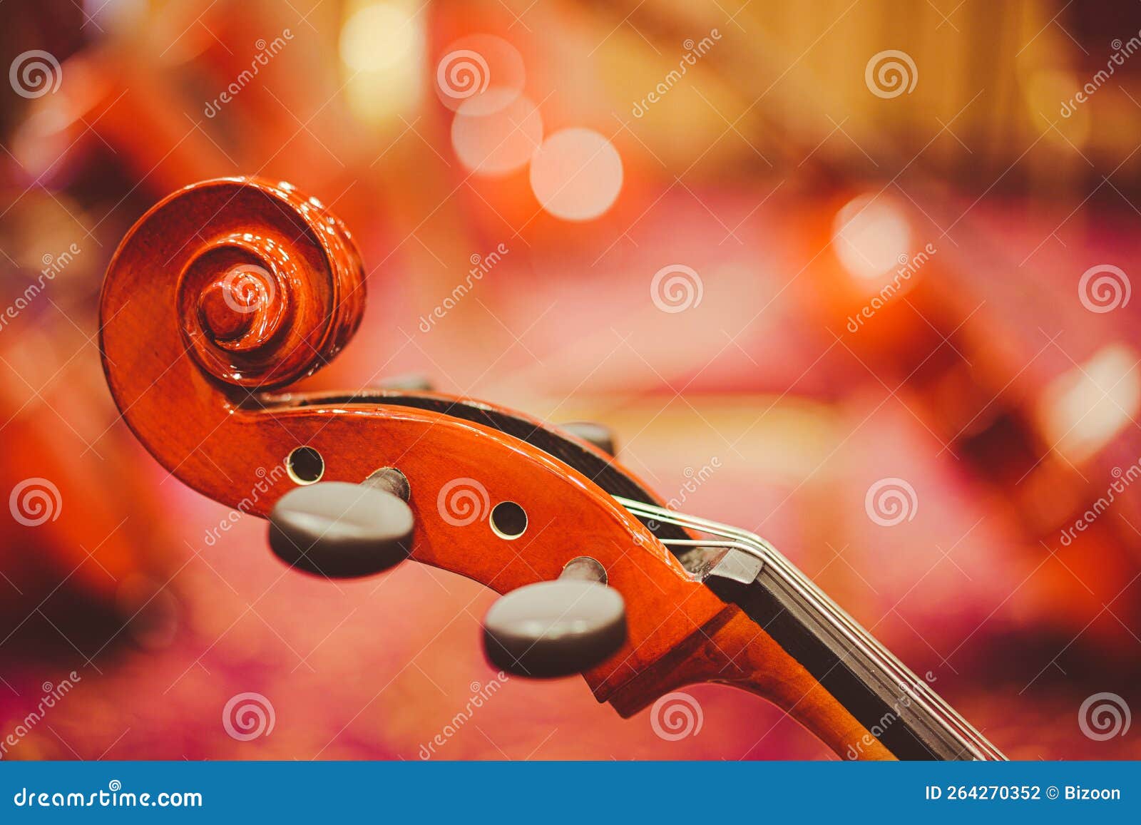 Cello scroll on headstock stock photo. Image of detail - 264270352