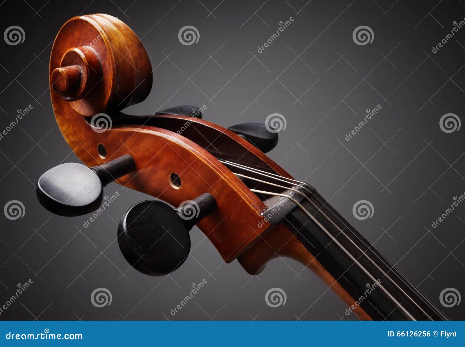 Cello Head Royalty-Free Stock Photo | CartoonDealer.com #33031815
