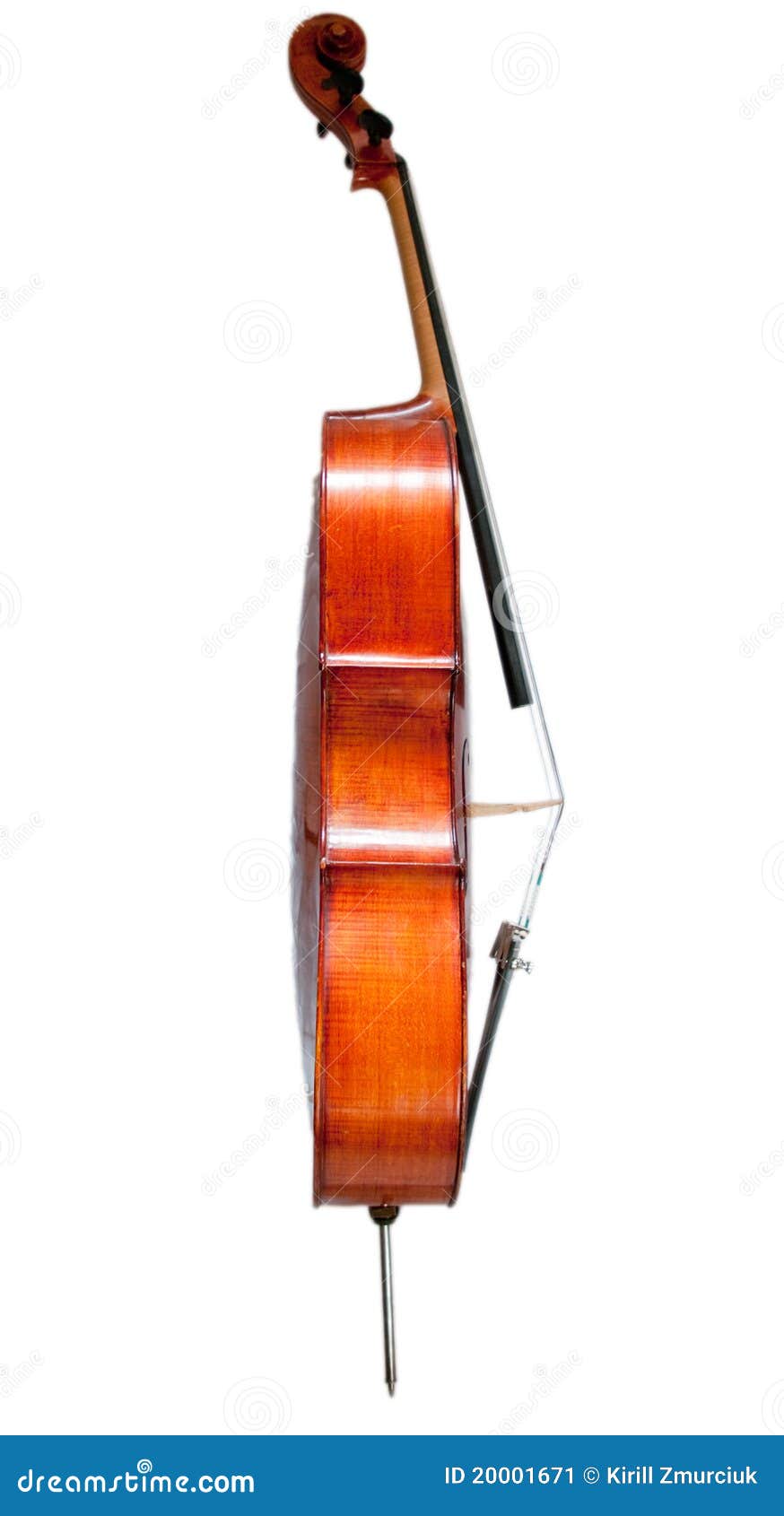 Cello side stock image. Image of white, muscial, cello - 20001671