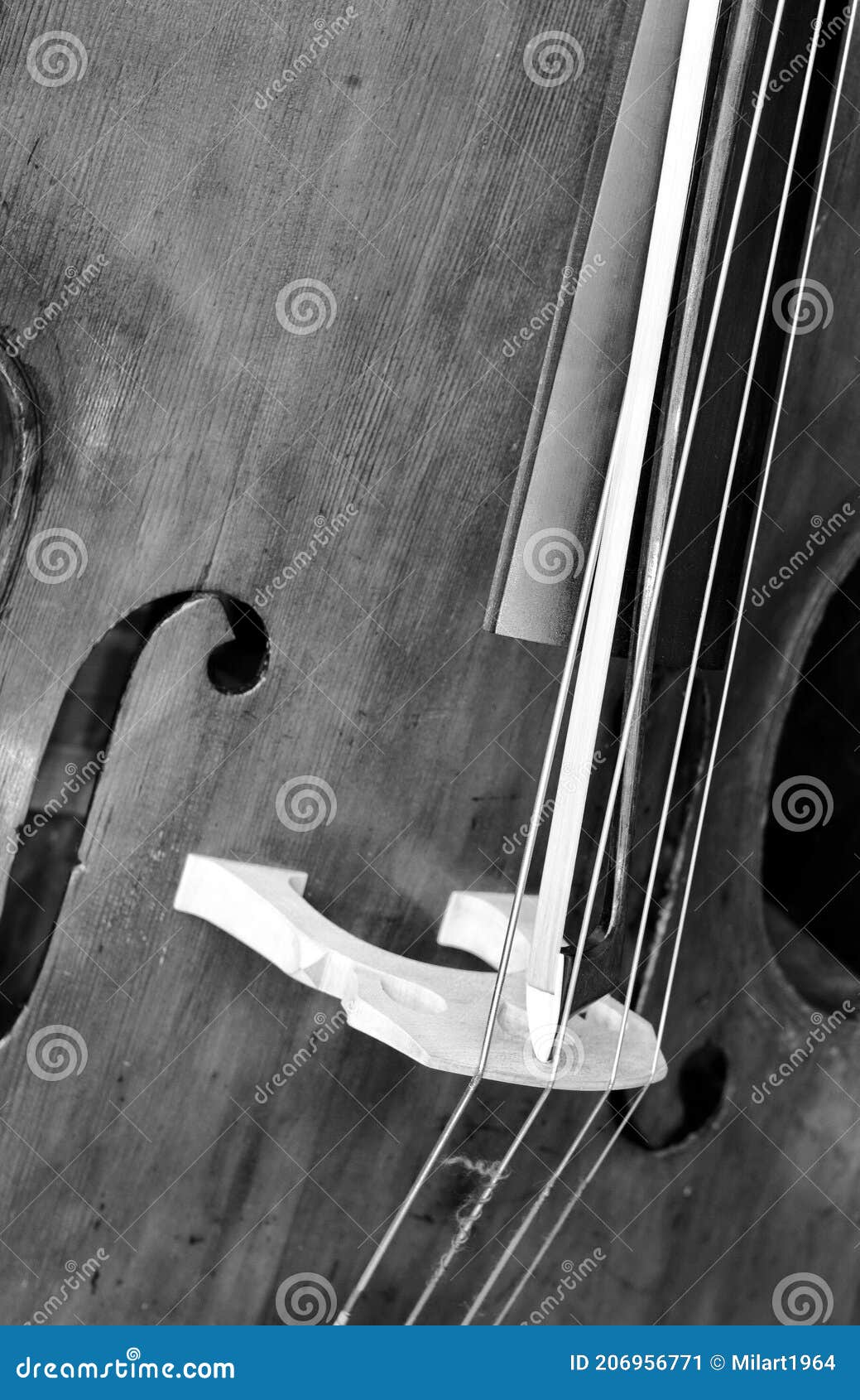 Cello on the stage. stock image. Image of beautiful - 206956771