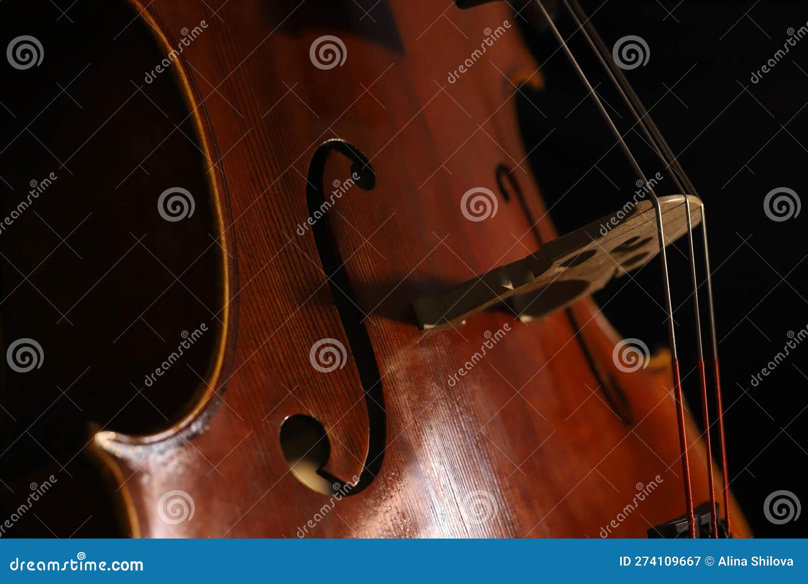 Cello Strings on Bridge of Artisan Instrument Close-up. Stock Image ...