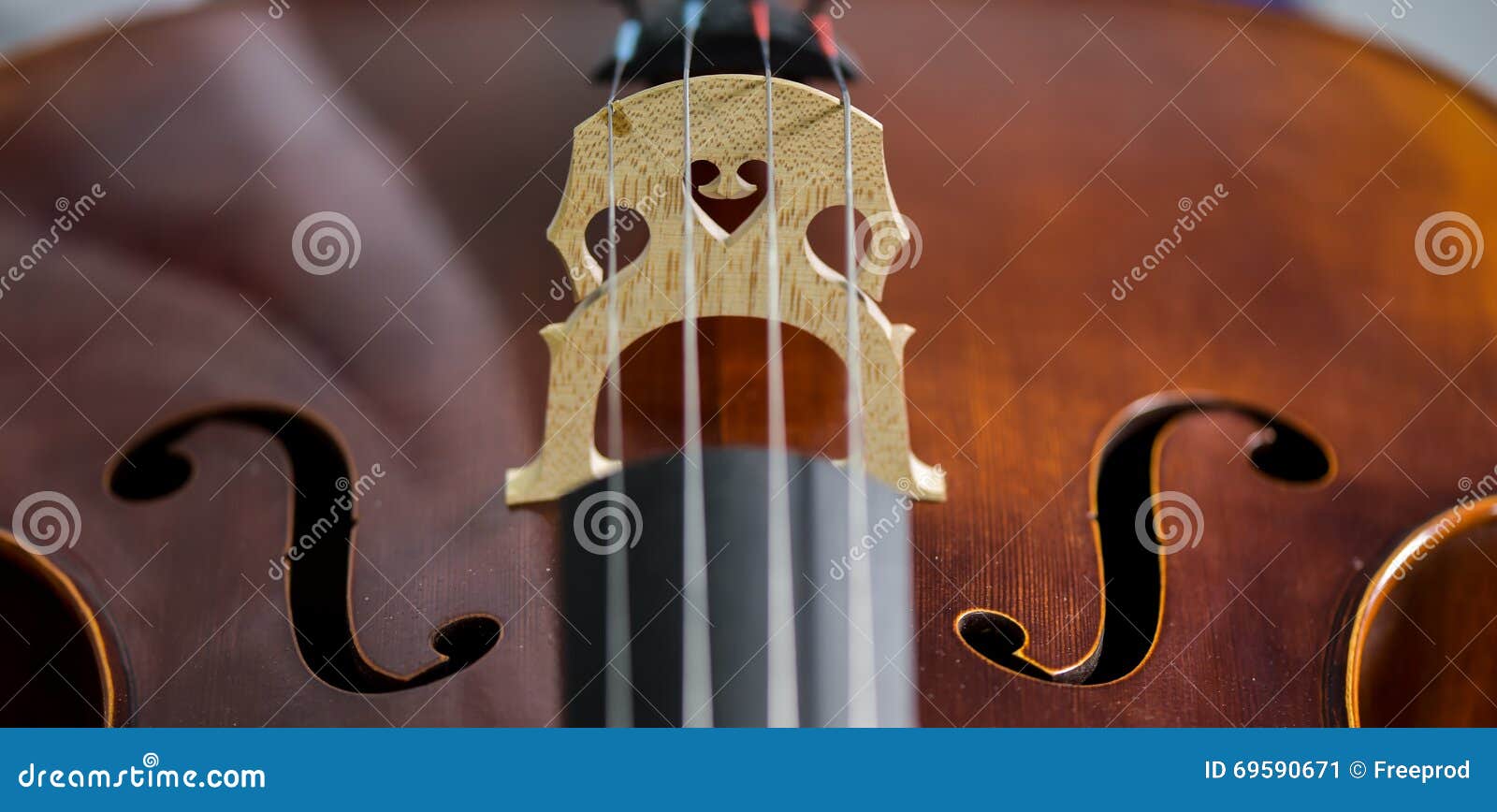 Cello strings closeup stock image. Image of antique, instrument - 69590671