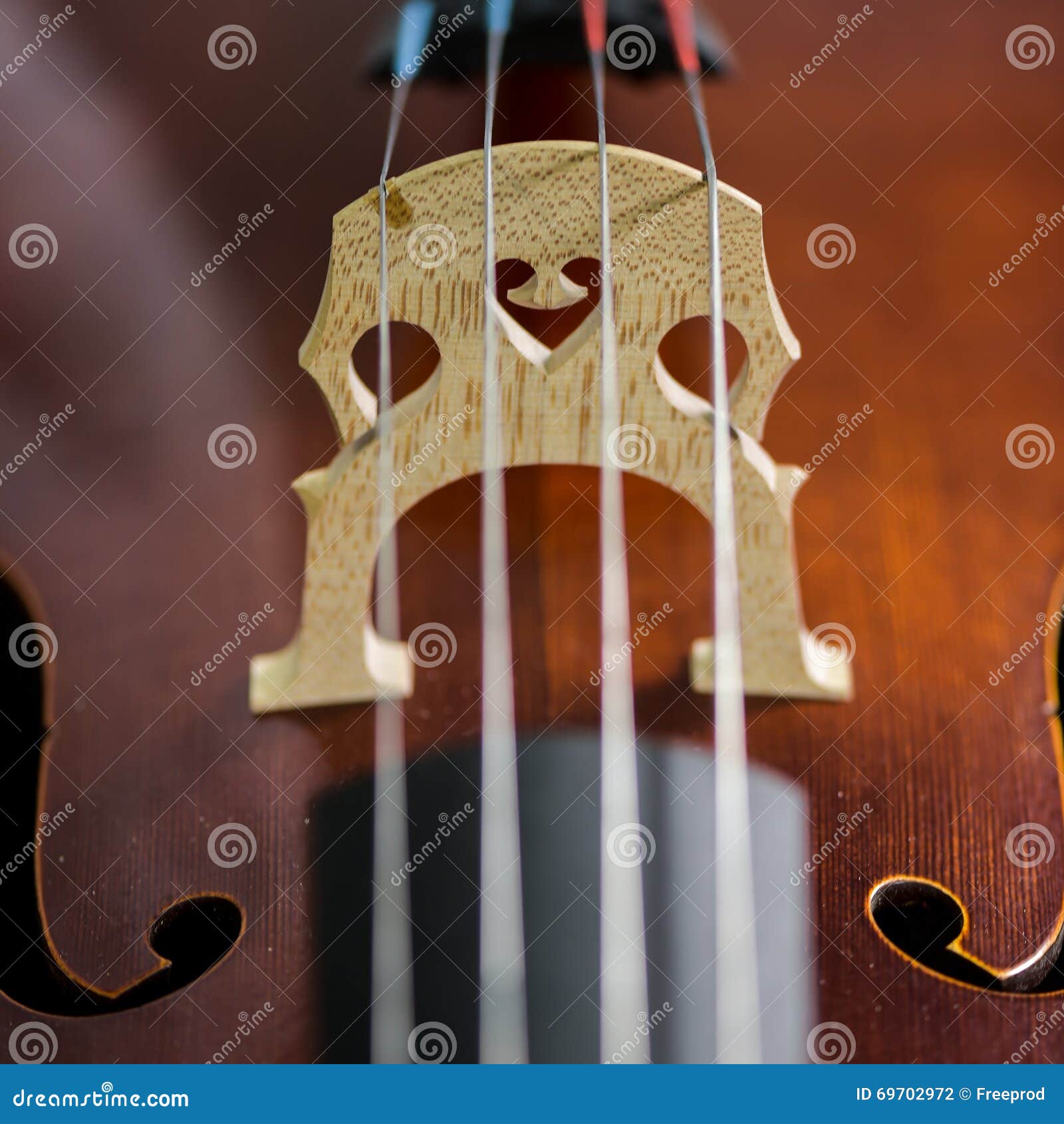 Cello strings closeup stock photo. Image of antique, isolated - 69702972