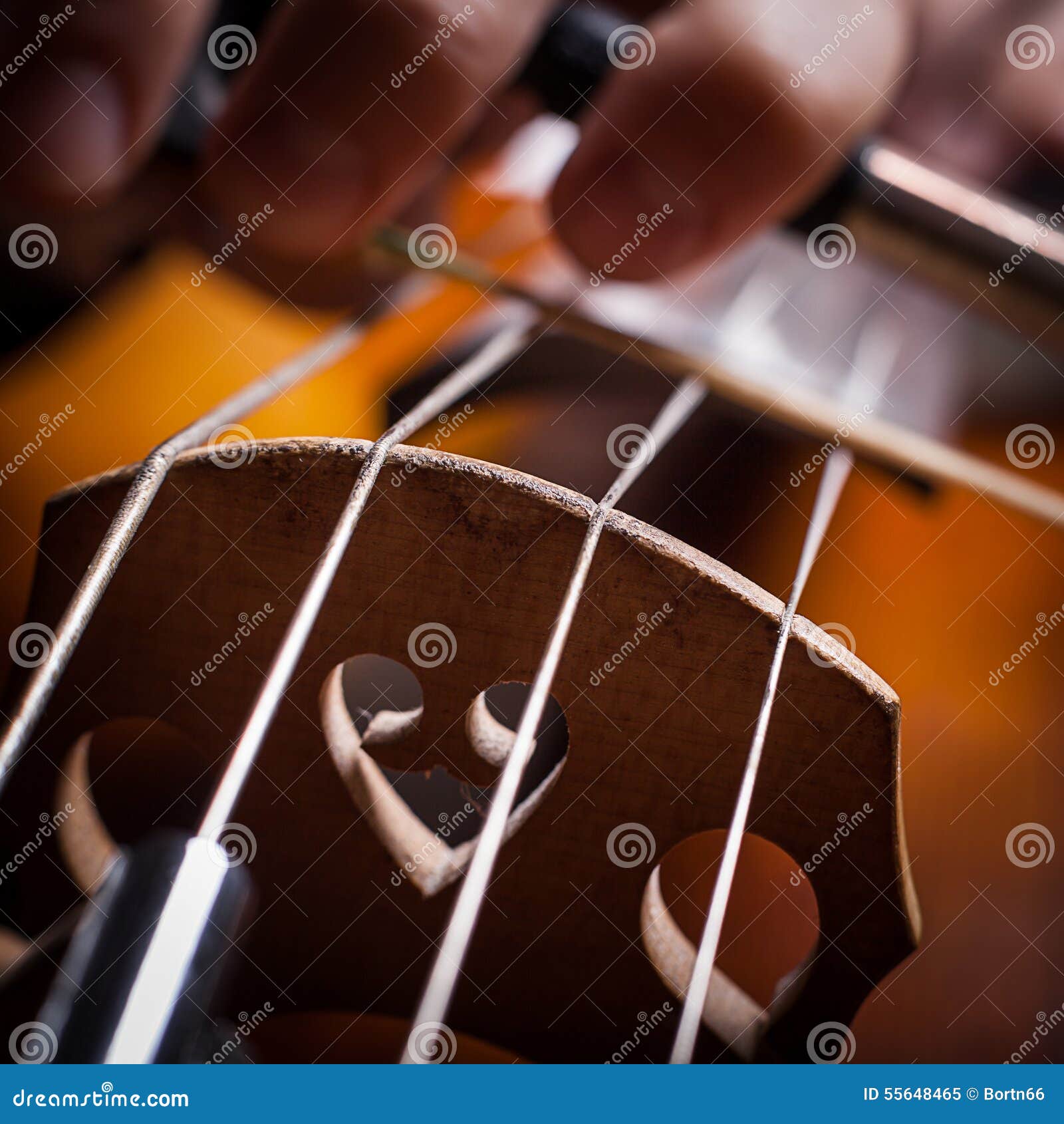 Cello strings stock image. Image of instrument, fiddlestick - 55648465