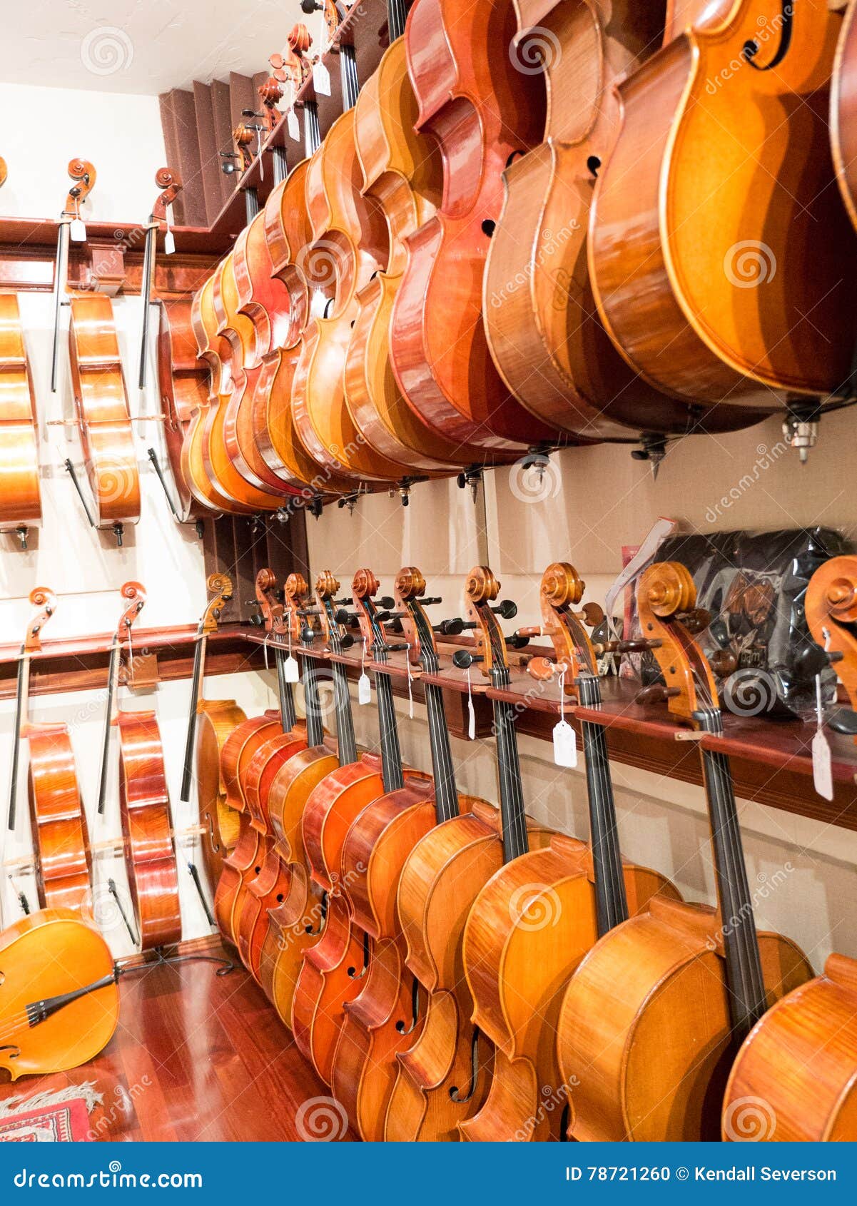 Cello And Violin Musicians Royalty-Free Stock Photography ...