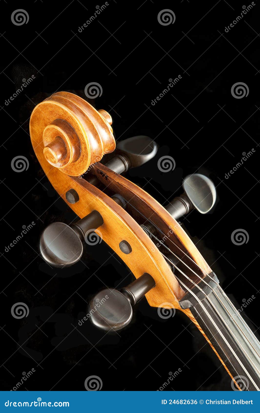 Cello or violoncello stock photo. Image of notes, equipment - 24682636
