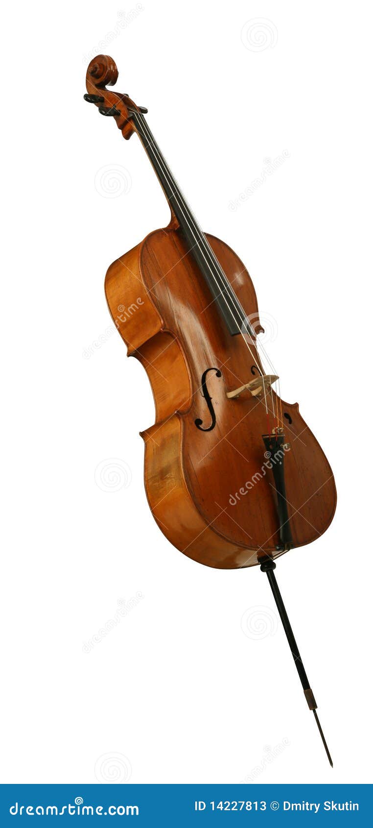 Cello ,violoncello, Bass-viol Stock Image - Image of front, concert ...