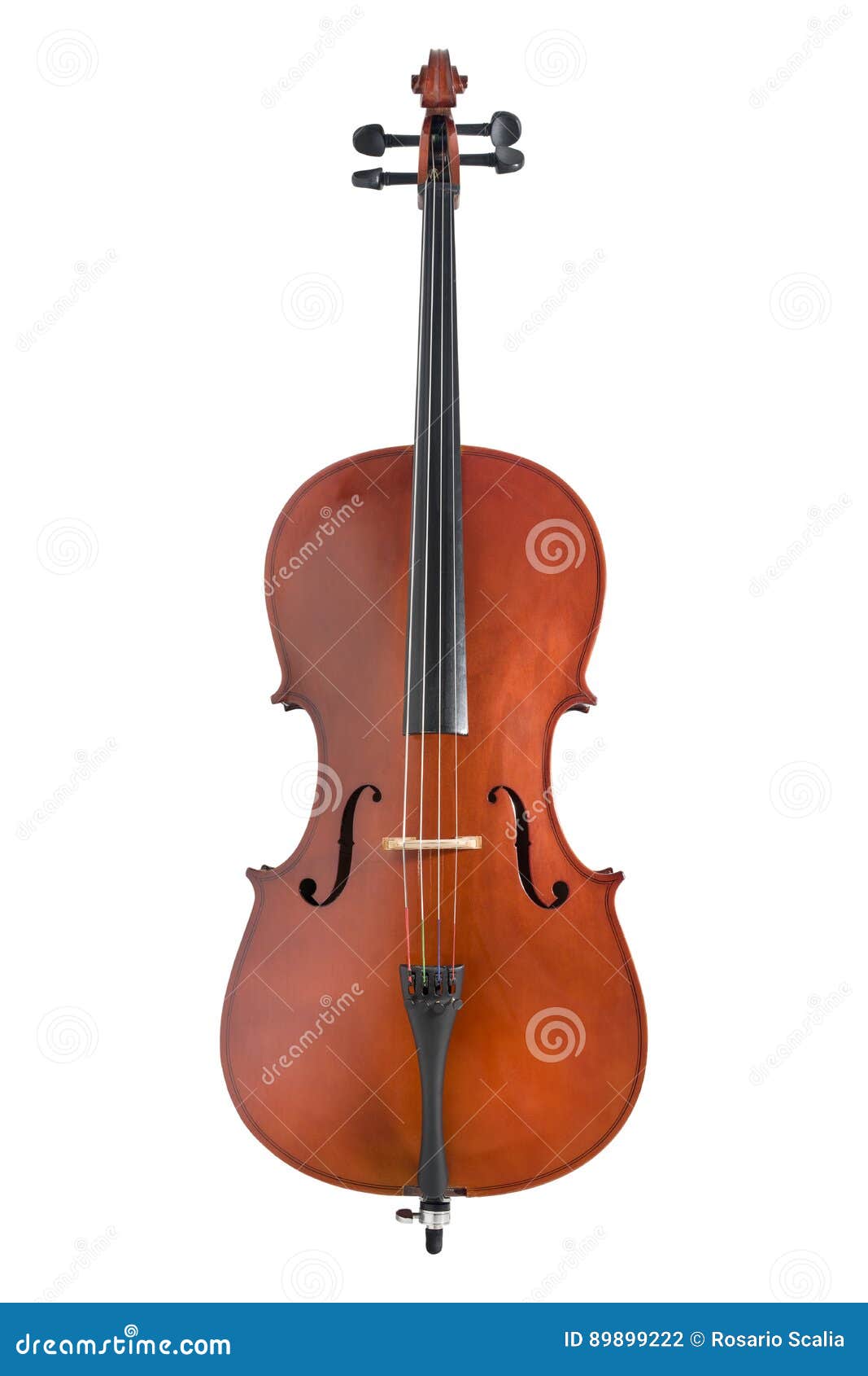 Cello on white background stock photo. Image of wood - 89899222