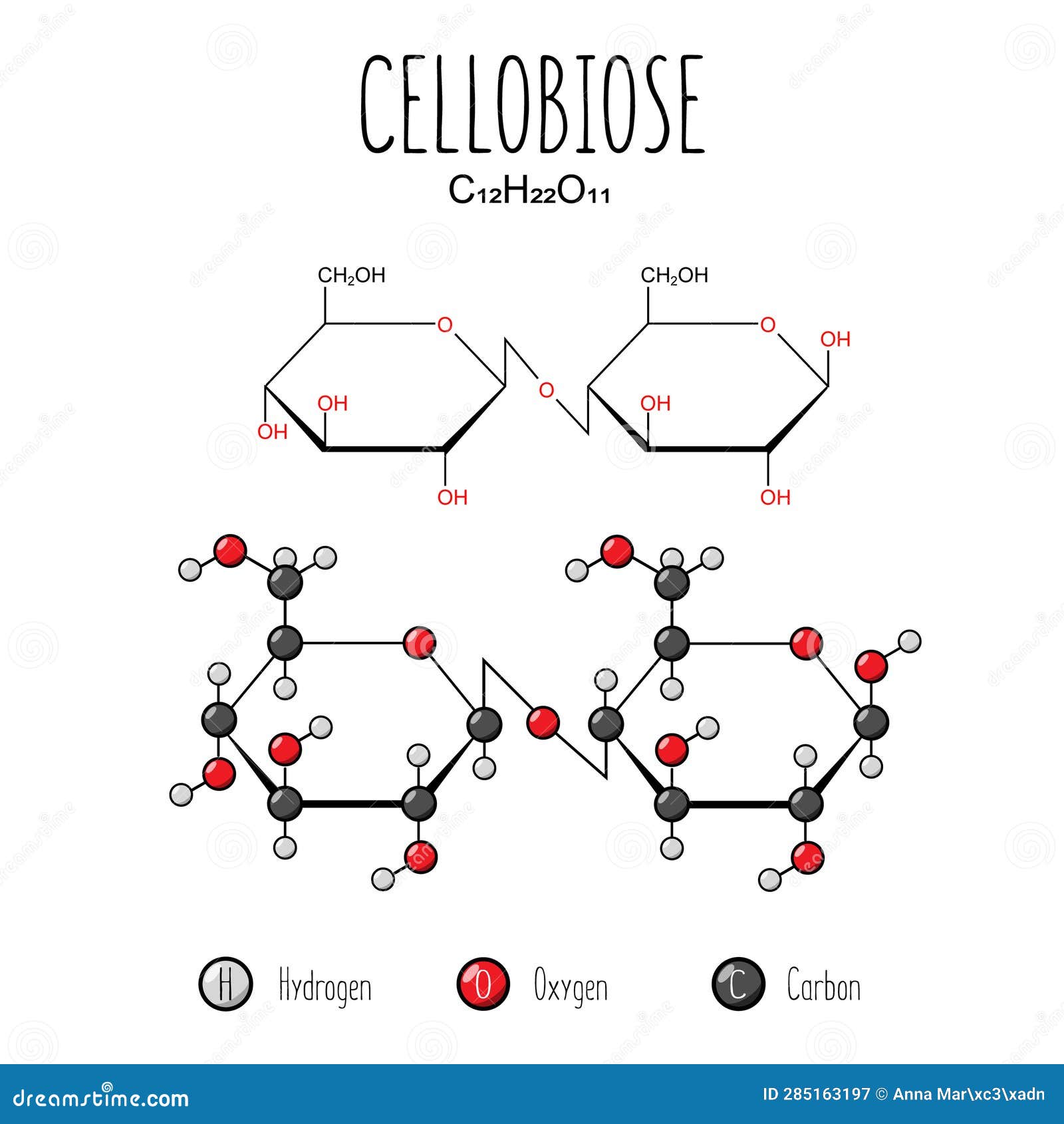 Cellobiose Stock Illustrations – 9 Cellobiose Stock Illustrations ...