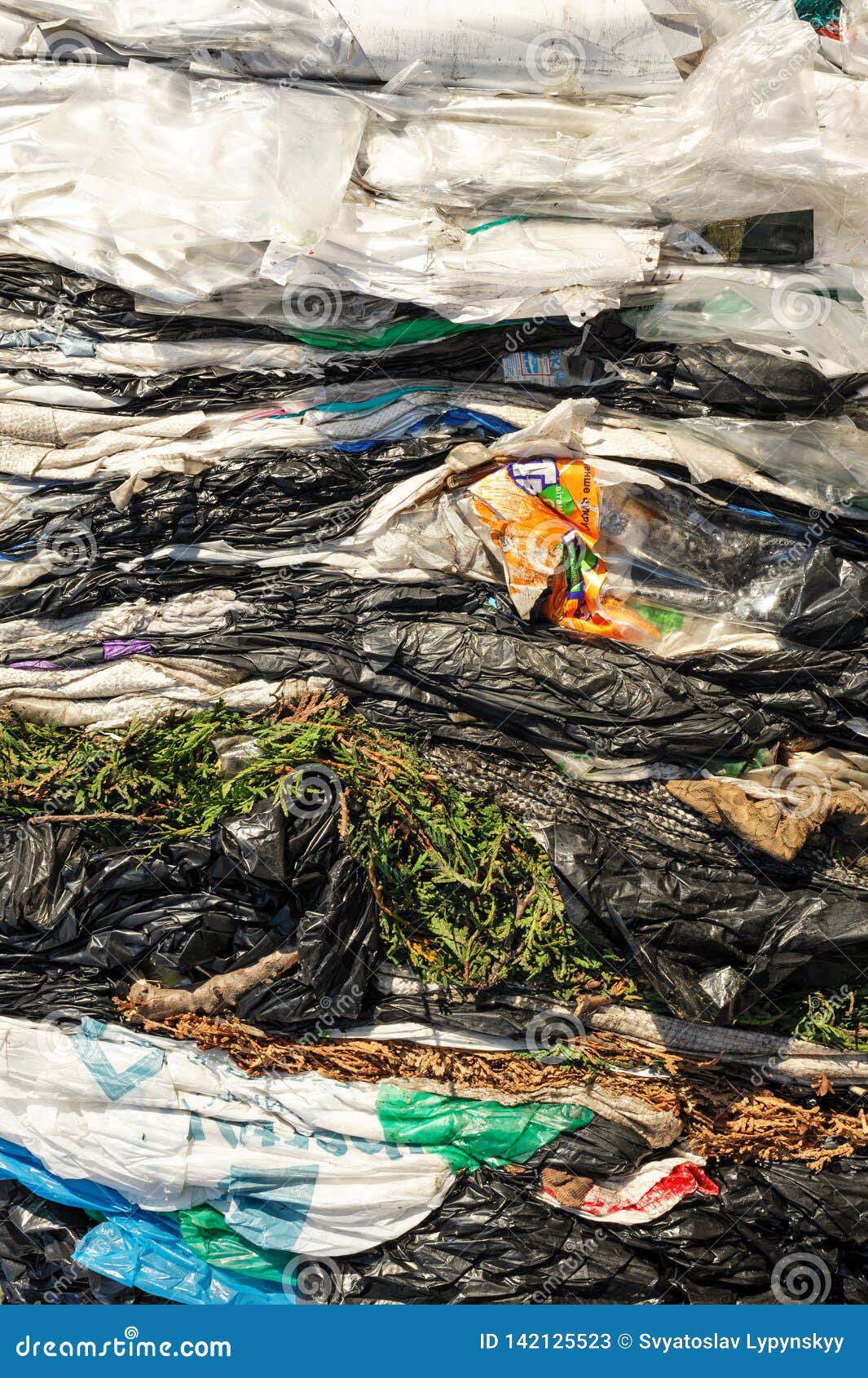 Cellophane Extruded Material for Processing in a Factory PET. Stock ...