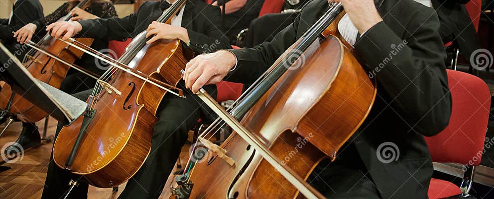 Cellos stock photo. Image of musician, musical, performance - 34026944