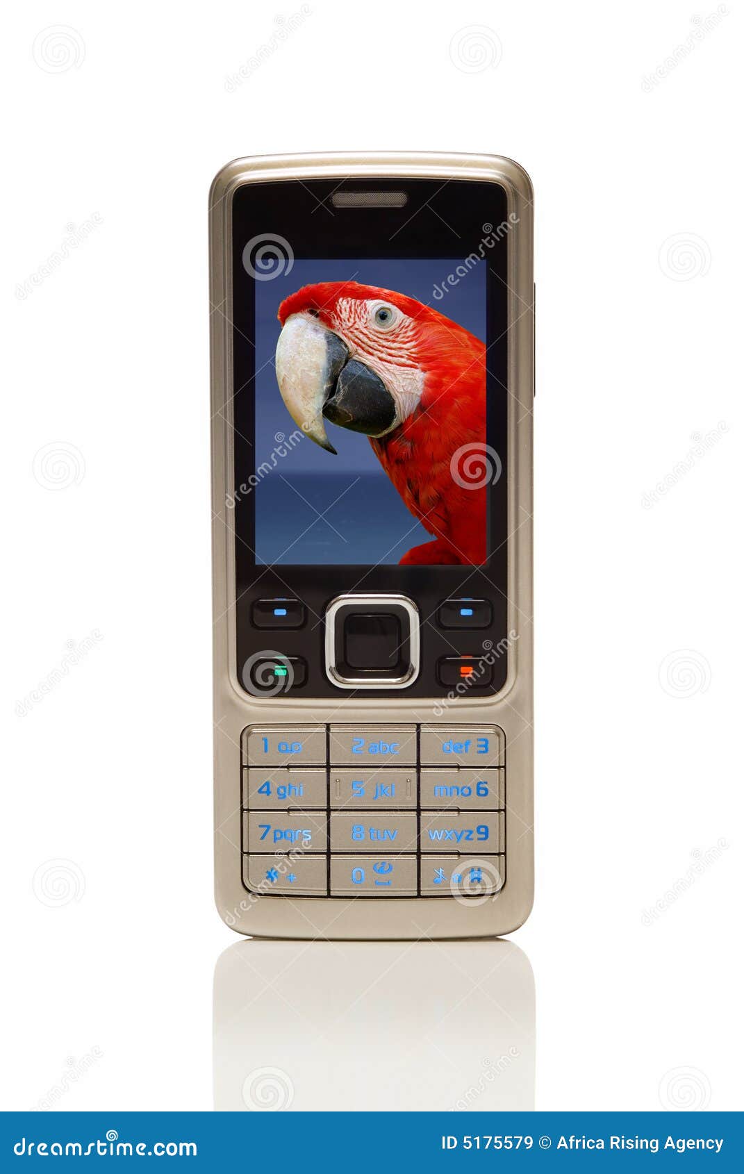 Cellphone with Red Parrot on Screen Stock Image - Image of screen, call ...